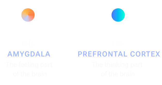 Science of Rejoyn: Tap into the brain's ability to change